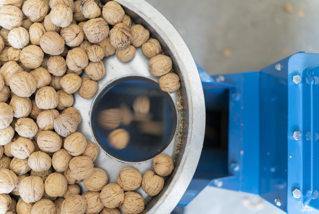 Der Nussknacker von Malans | graubündenVIVA